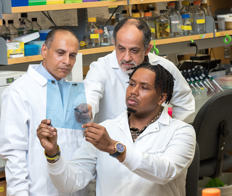 Training for predoctoral students | VCU Massey Comprehensive Cancer Center