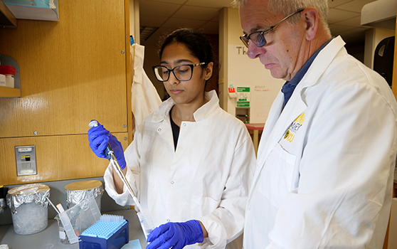 Training for high school students | VCU Massey Comprehensive Cancer Center