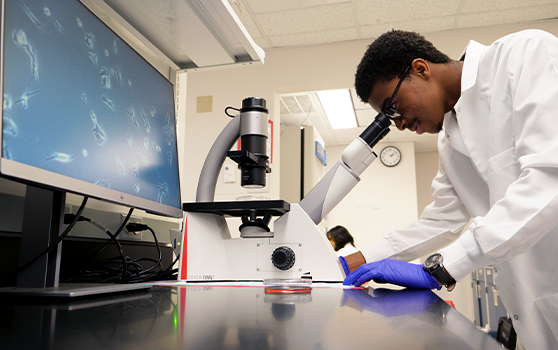 Cancer-focused Undergraduate Research Program (CURE) for Undergraduates ...